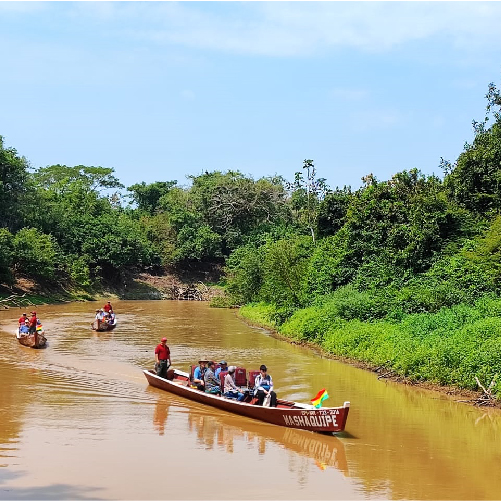 Ecolodge: Madidi and Jungle Tour – COCA TRAVELS BOLIVIA