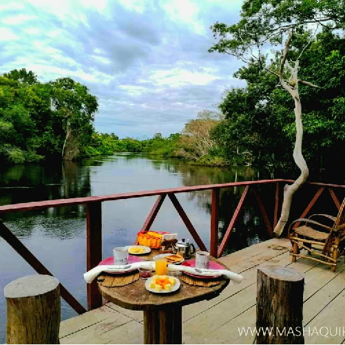 Ecolodge: Tour Madidi y Selva – COCA TRAVELS BOLIVIA
